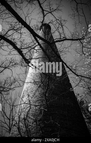 A grayscale of the Glendale Mill ruins, nestled near Spartanburg, South ...