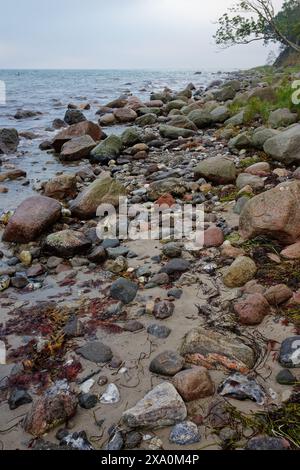 Scenic beach on Staberhuk cliffs, Fehmarn Island, Germany, overlooking ...