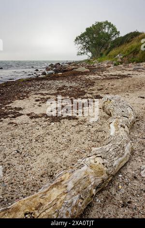 Scenic beach on Staberhuk cliffs, Fehmarn Island, Germany, overlooking ...