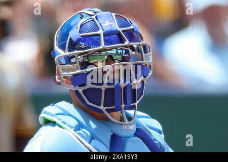 San Diego Padres' Freddy Fermin celebrates after hitting a walk off RBI ...