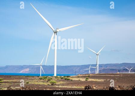 The Ghoubet wind power turbines generators of grid station farms ...