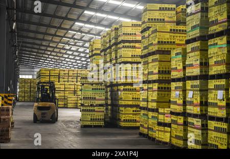 Kajiado, Kenya. 3rd June, 2024. Workers pack tiles at the KEDA (Kenya ...