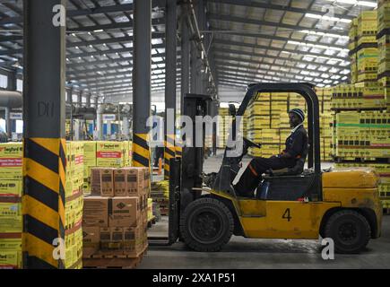 Kajiado, Kenya. 3rd June, 2024. Workers arrange boxes at the KEDA ...