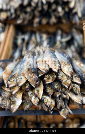 Dried fish on display at Carbon Market located in Cebu City ...