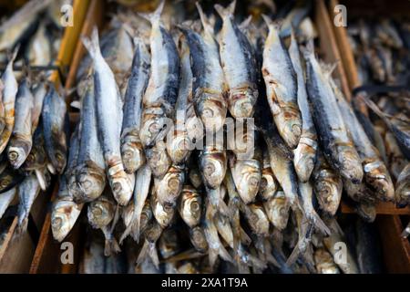 Dried fish on display at Carbon Market located in Cebu City ...