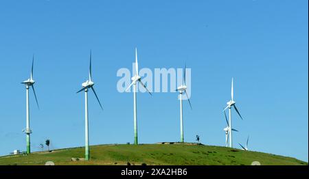 A wind farm along the road to Masterton in the North Island of New ...