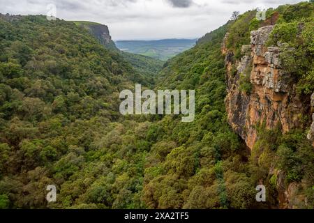 View of the Graskop Gorge with dense forest from the plateau, Panorama ...