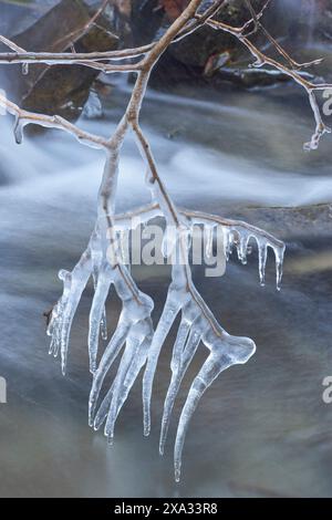 Ice sculptures in a mountain stream Stock Photo - Alamy