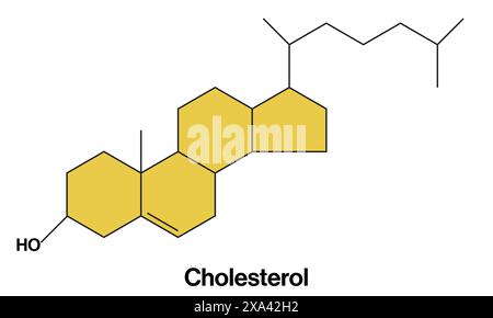 Detailed Vector Illustration of Cholesterol Structure for Biochemistry ...