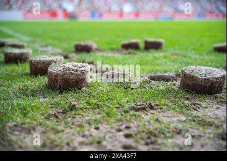 local repair of turf at the football field Stock Photo - Alamy