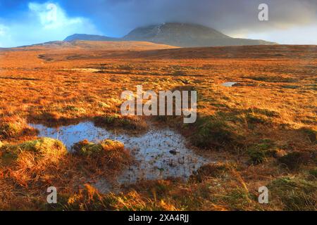 Moorland and mountains of northern Sutherland in winter, Highlands ...