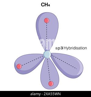 Detailed Vector Illustration of Sp3 Hybridization in Chemistry, Organic ...