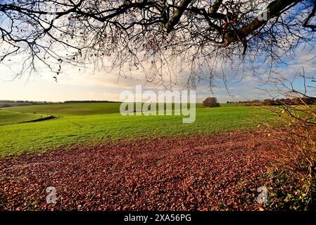 Autumn colours along a field edge path Stock Photo - Alamy