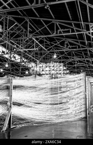 The cotton thread lines on a copwinder weft assembly line loom in ...