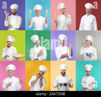Collage with photos of professional chefs on different color ...