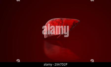 Medical animation of the human liver Stock Photo - Alamy