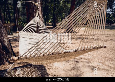 Comfortable swings between two trees in the shadow Stock Photo - Alamy