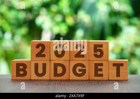 Budget 2025 - 2025 budgeting concept Stock Photo - Alamy