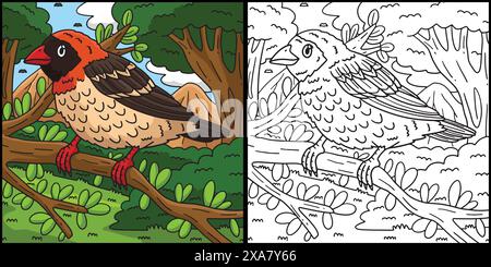 Red Billed Quelea Bird Cartoon Colored Clipart Stock Vector Image & Art ...