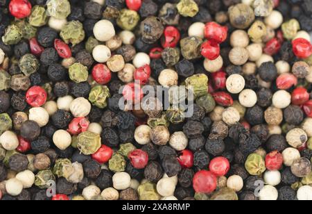 Pepper mix of black, red and white peppercorns isolated, full depth of ...