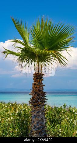 A beautiful seascape against a cloudy sky during a scenic sunset Stock ...