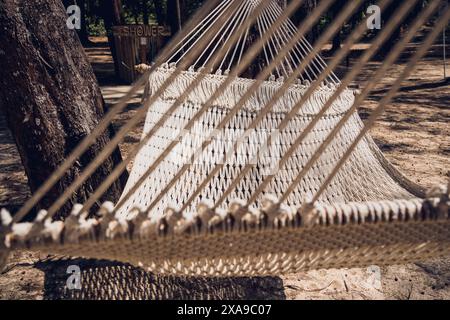 Comfortable swings between two trees in the shadow Stock Photo - Alamy