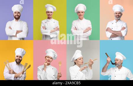 Collage with photos of professional chefs on different color ...