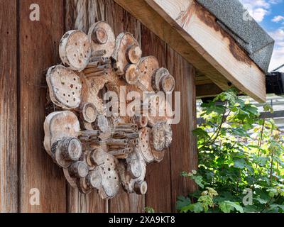 Insect bug hotels nest boxes for bees and other insects, typically made ...