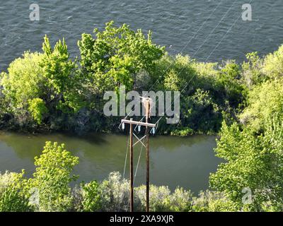 Circus performer on the high wire Long Island New York Stock Photo - Alamy