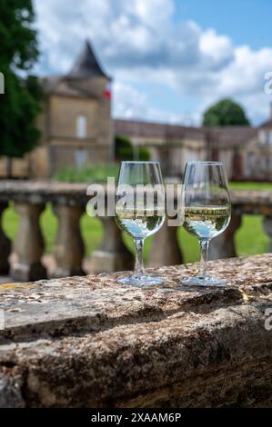Tasing glasses of white wine in old wine domain on Sauternes vineyards ...