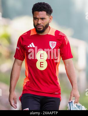 Wales' Jay Dasilva during a training session at FAW HQ, Vale Resort ...
