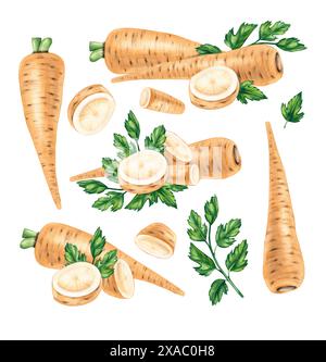 Set of root vegetables for cooking salad. Old wood background Stock ...