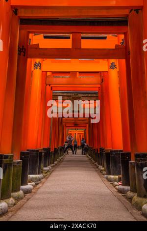 The Endless Red Gates Torii of Kyoto s Fushimi Inari, Kyoto, Honshu ...