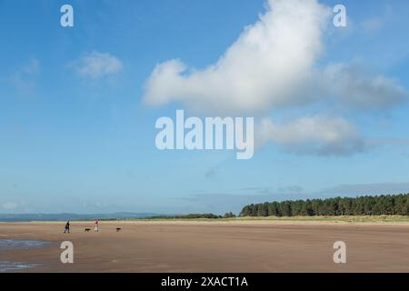 Tentsmuir beach on a sunny morning Stock Photo - Alamy