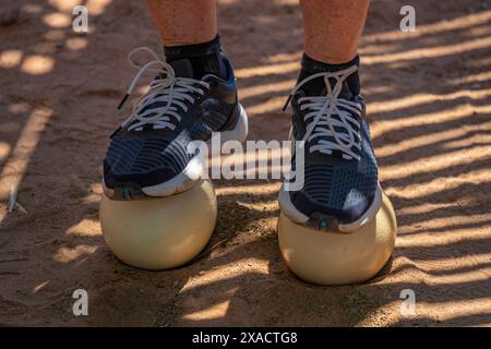 View of a visitor standing on an Ostrich at Safari Ostrich Farm ...