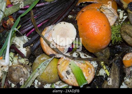 Food waste inside a food waste bin Stock Photo - Alamy