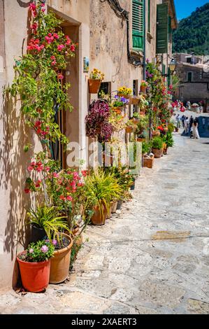 A vertical shot of an old door decorated with green leaves Stock Photo ...