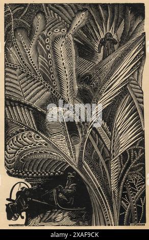 Illustrations for fairy tales and traditions of the northern region ...