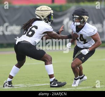 New Orleans Saints linebacker Isaiah Stalbird (44) defends during an ...