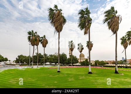 Park near Zabeel Palace, Dubai, United Arab Emirates, Middle East, Asia ...