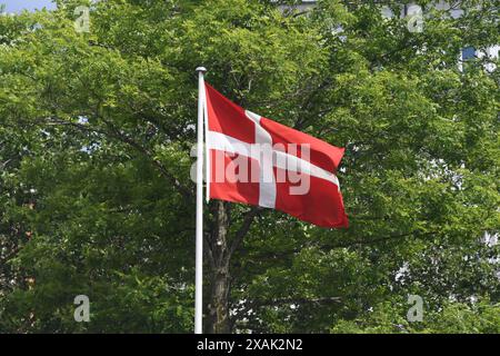 Copenhagen/ Denmark/07 JUNE 2024/Official dannbrog danish flag flying ...