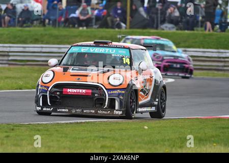 Dominic Wheatley, MINI JCW, EXCELR8 Motorsport, Vertu MINI Challenge ...