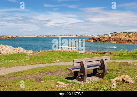 Cobo Bay from Le Creux coast path with Sea Pinks flowering in summer ...