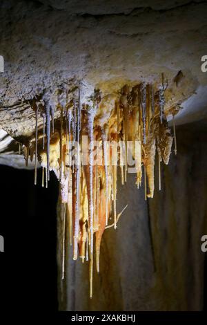 Soda straws stalactites in the Blanche Cave in the Naracoorte Caves ...
