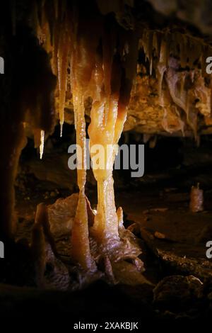 Column (stalagnate) in the Victoria Fossil Cave in the Naracoorte Caves ...