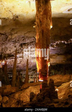 Column (stalagnate) in the Victoria Fossil Cave in the Naracoorte Caves ...