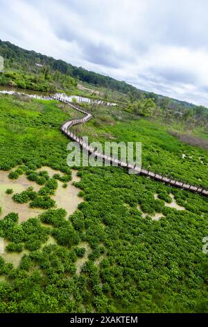 The marsh boardwalk at the Galien River County Park near New Buffalo ...