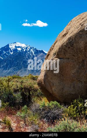 Buttermilk Rocks, famous granite boulders for climbing; near Bishop ...