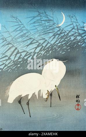Ohara Koson – White Egret on a Tree Branch (Witte reiger op boomtak ...