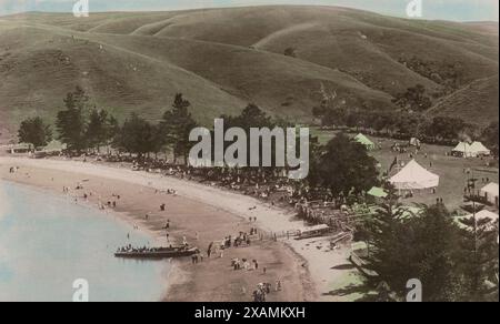 Home Bay Motutapu Island Auckland North Island New Zealand Aerial Stock ...